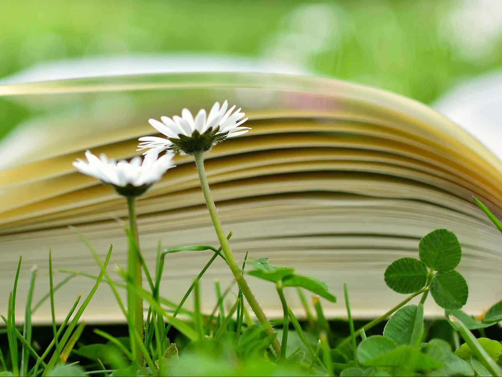 Top 20 Must Read Soul Enriching Personal Development Books Mind Over Top 20 Must Read Soul Enriching Personal Development Books Mind Over